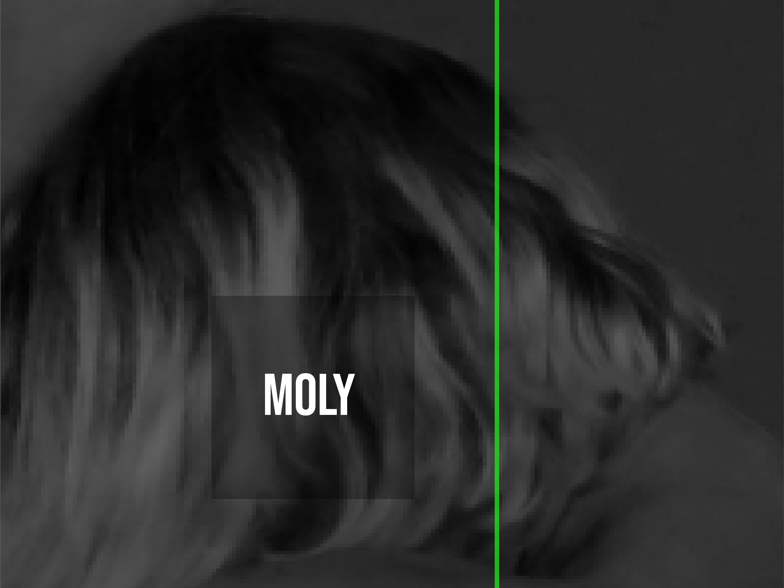 Moly – Circe